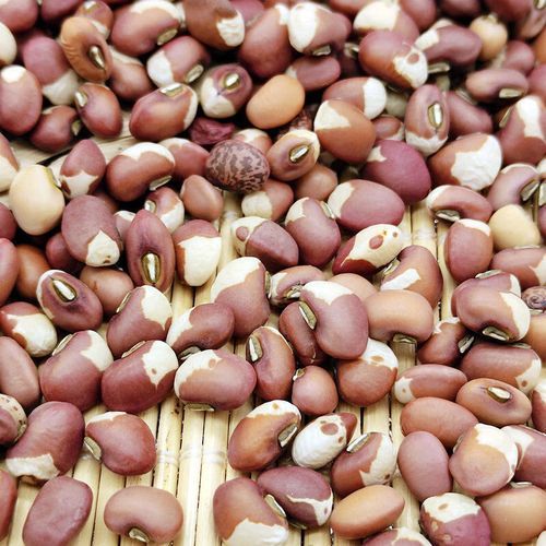 花豇豆煮粥怎么做_花豇豆煮粥需要提前泡吗-第1张图片-山城妙识