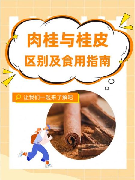 桂皮和肉桂的区别_哪个更适合炖肉-第1张图片-山城妙识