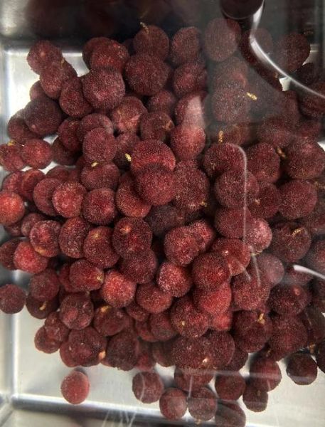 杨梅干怎么制作好吃窍门_如何自制酸甜杨梅干-第3张图片-山城妙识