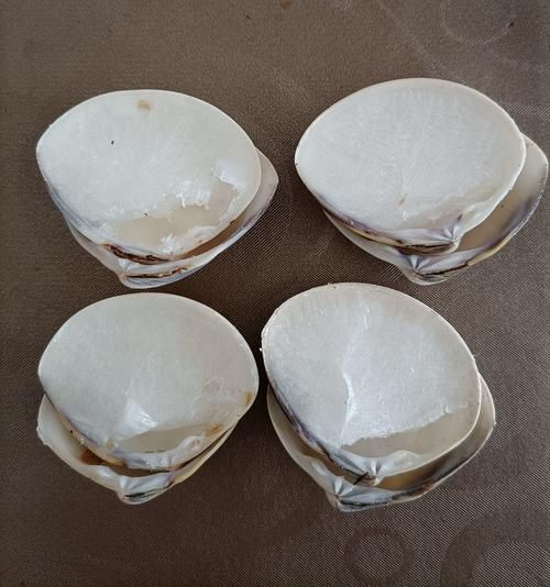 蛤蜊油的副作用有哪些_蛤蜊油擦脸会过敏吗-第3张图片-山城妙识