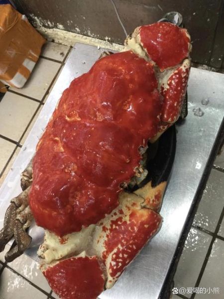 最大帝王蟹有多大_最大帝王蟹多少钱一斤-第2张图片-山城妙识