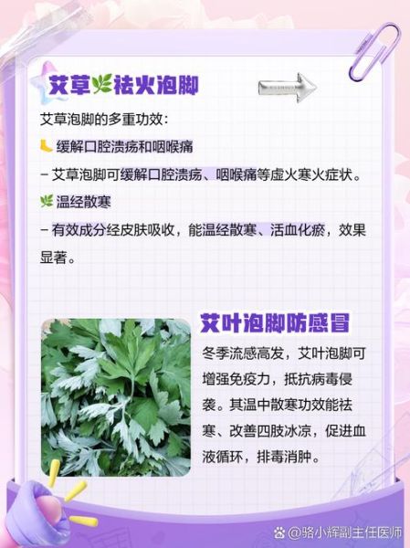 艾叶泡脚有什么好处_艾叶的功效作用与主治-第1张图片-山城妙识