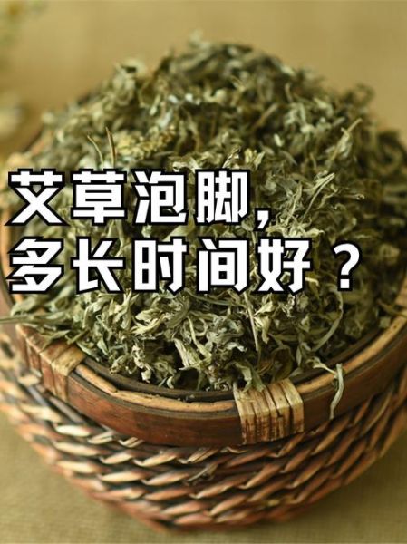 艾叶泡脚有什么好处_艾叶的功效作用与主治-第2张图片-山城妙识