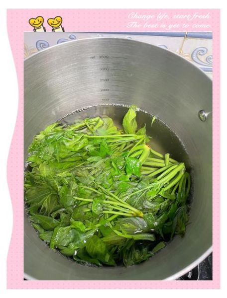 香椿芽怎么腌制好吃又不坏_香椿芽腌制保存多久-第3张图片-山城妙识 香椿芽怎么腌制好吃又不坏_香椿芽腌制保存多久-第3张图片-山城妙识