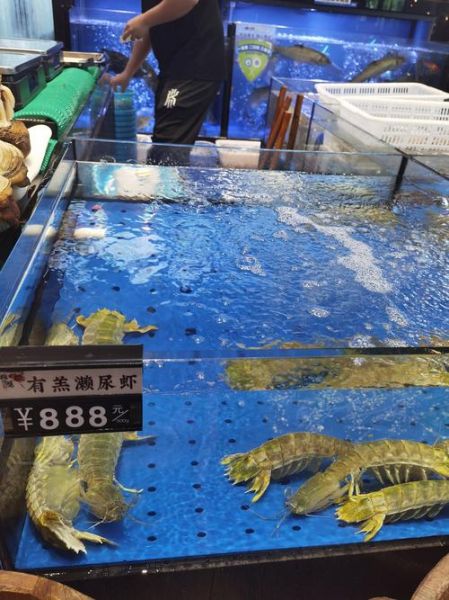 濑尿虾多少钱一斤_濑尿虾价格为什么波动大-第1张图片-山城妙识