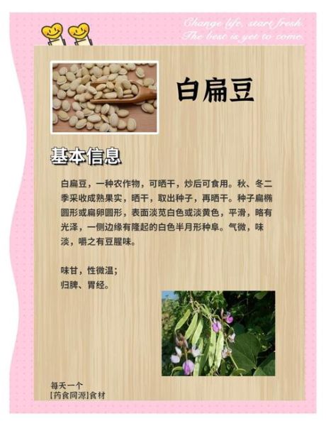 炒白扁豆仁的功效与作用_炒白扁豆仁怎么吃-第3张图片-山城妙识