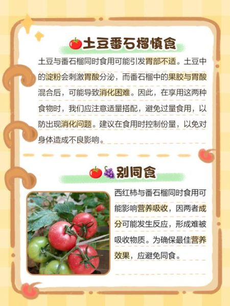 番石榴不能和什么一起吃_哪些人不能吃番石榴-第1张图片-山城妙识 番石榴不能和什么一起吃_哪些人不能吃番石榴-第1张图片-山城妙识