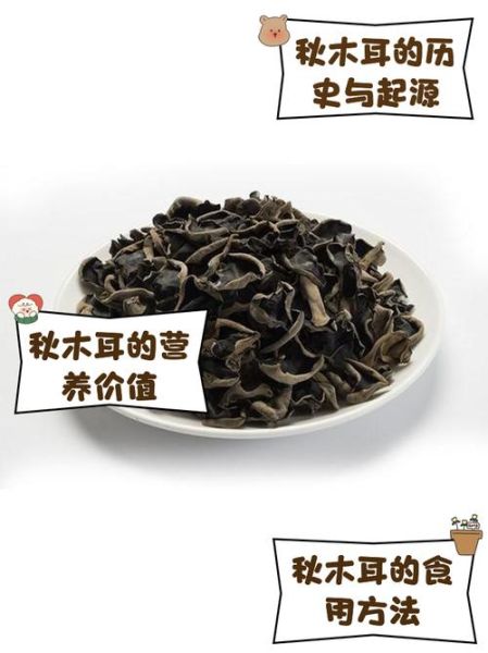 秋木耳和普通木耳的区别_哪个营养价值更高-第1张图片-山城妙识