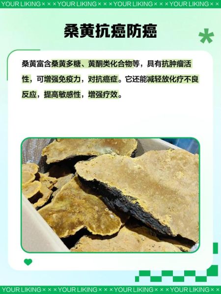 桑黄的功效与作用及禁忌_桑黄什么人不能吃-第1张图片-山城妙识