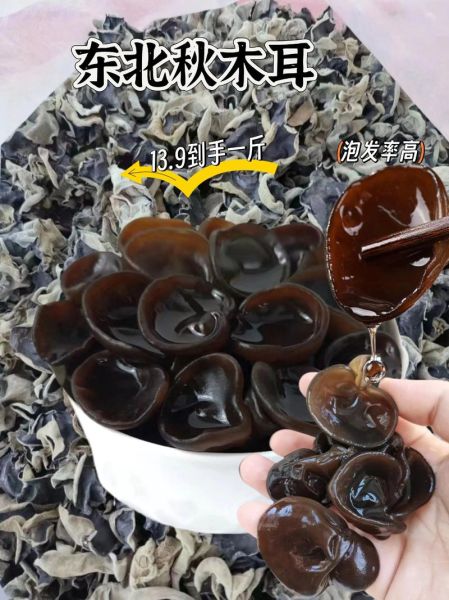 秋木耳和普通木耳的区别_哪个营养价值更高-第3张图片-山城妙识