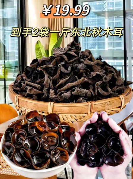 秋木耳和普通木耳的区别_哪个营养价值更高-第2张图片-山城妙识