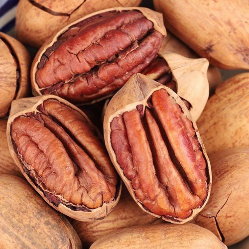 长寿果有几种_长寿果到底指哪几种坚果-第3张图片-山城妙识