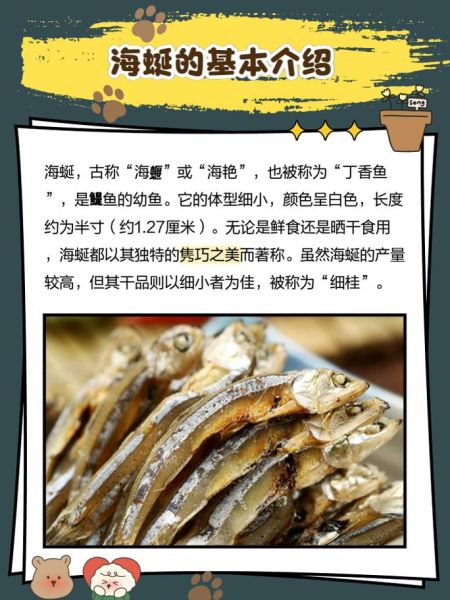 海蜓鱼干怎么吃_海蜓鱼干的家常做法-第1张图片-山城妙识