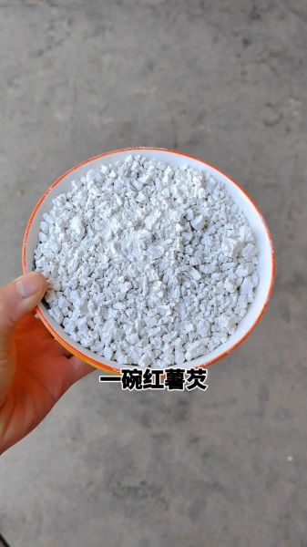 红薯凉粉怎么做_红薯凉粉热量高吗-第2张图片-山城妙识