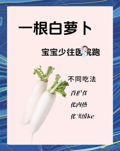莱菔怎么读_莱菔是萝卜吗-第2张图片-山城妙识 莱菔怎么读_莱菔是萝卜吗-第2张图片-山城妙识