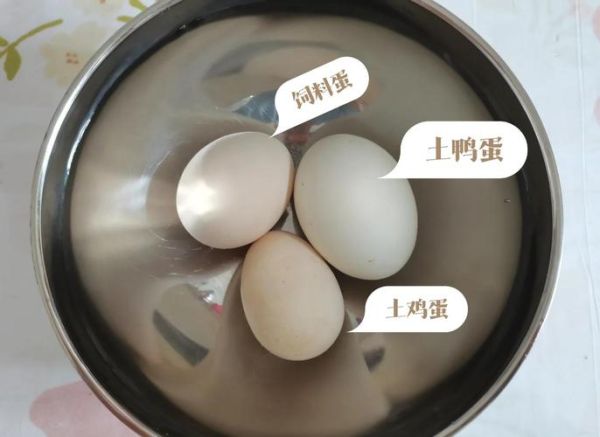 土鸡蛋和饲料鸡蛋的区别_哪个更有营养-第1张图片-山城妙识