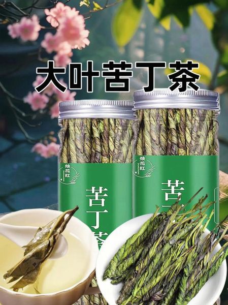 苦丁茶图片大全_苦丁茶长什么样-第2张图片-山城妙识 苦丁茶图片大全_苦丁茶长什么样-第2张图片-山城妙识