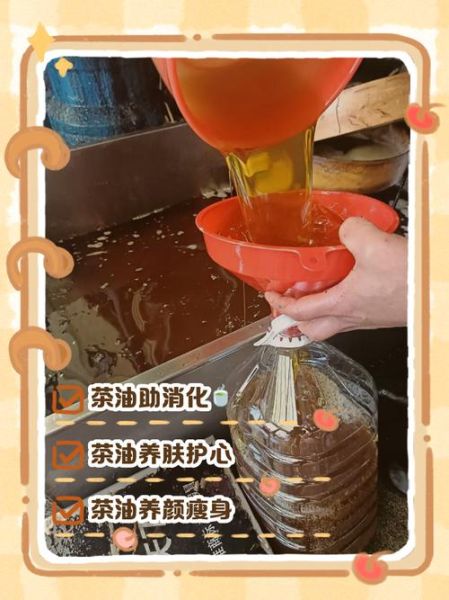 茶油的美容功效有哪些_茶油怎么用护肤效果最好-第2张图片-山城妙识 茶油的美容功效有哪些_茶油怎么用护肤效果最好-第2张图片-山城妙识