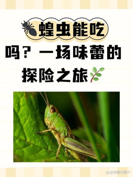 蚂蚱吃什么食物_蚂蚱最爱吃的植物有哪些-第3张图片-山城妙识 蚂蚱吃什么食物_蚂蚱最爱吃的植物有哪些-第3张图片-山城妙识