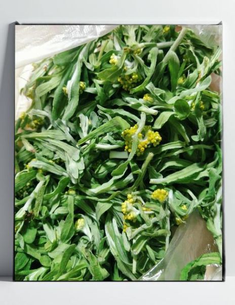 清明菜怎么吃_清明菜的做法大全-第1张图片-山城妙识