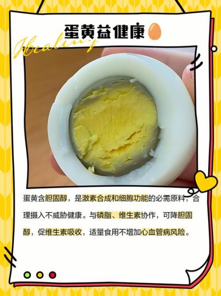 减肥期间可以吃蛋黄吗_蛋黄热量高不高-第2张图片-山城妙识