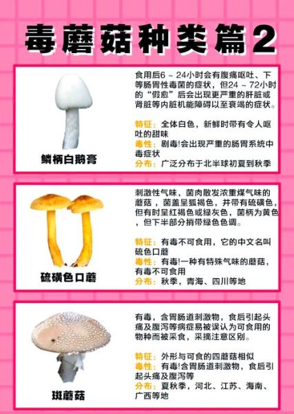 致命毒蘑菇图片_如何辨别毒蘑菇-第2张图片-山城妙识