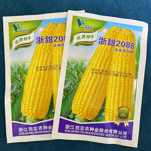 水果玉米种子怎么选_水果玉米种子哪个品种好-第2张图片-山城妙识