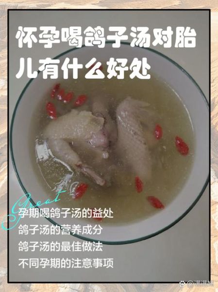 孕妇能喝鸽子汤吗_怀孕喝鸽子汤的好处与禁忌-第2张图片-山城妙识