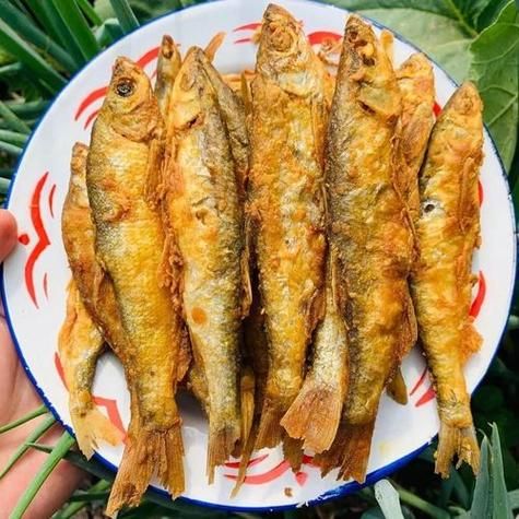 小鱼怎样炸才酥脆_炸小鱼酥脆技巧-第3张图片-山城妙识