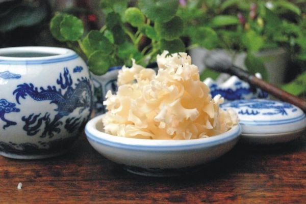 荷仙菇的功效与作用_荷仙菇怎么做好吃-第1张图片-山城妙识