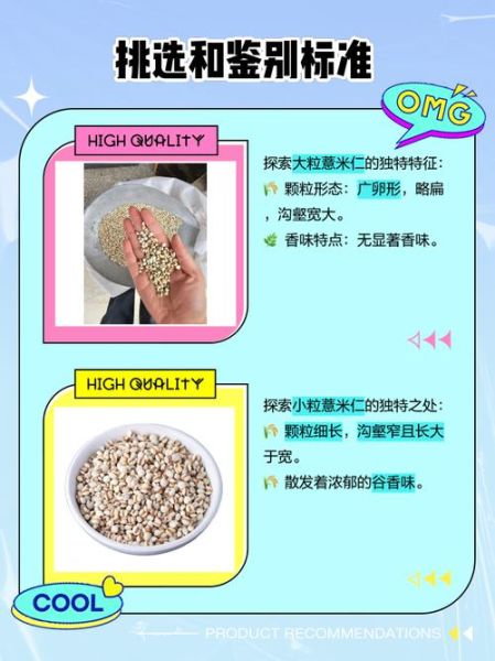 薏米买大的还是小的_薏米大小功效区别-第1张图片-山城妙识 薏米买大的还是小的_薏米大小功效区别-第1张图片-山城妙识
