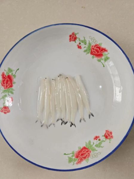 小银鱼炒鸡蛋怎么做_小银鱼炒鸡蛋的营养价值-第2张图片-山城妙识 小银鱼炒鸡蛋怎么做_小银鱼炒鸡蛋的营养价值-第2张图片-山城妙识