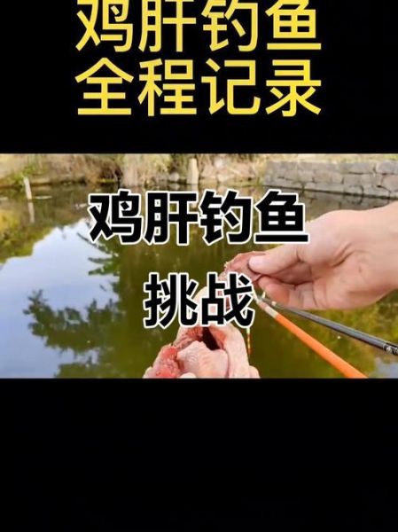 鸡肝钓鱼怎么挂钩不烂_鸡肝挂钩技巧-第2张图片-山城妙识