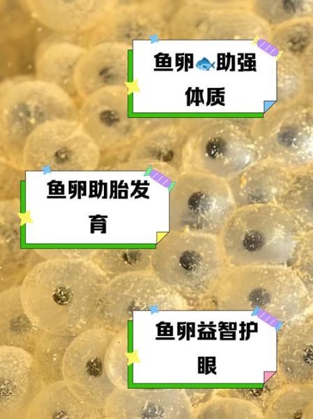 女人为什么不能吃鱼籽_鱼籽对女性健康的影响-第1张图片-山城妙识