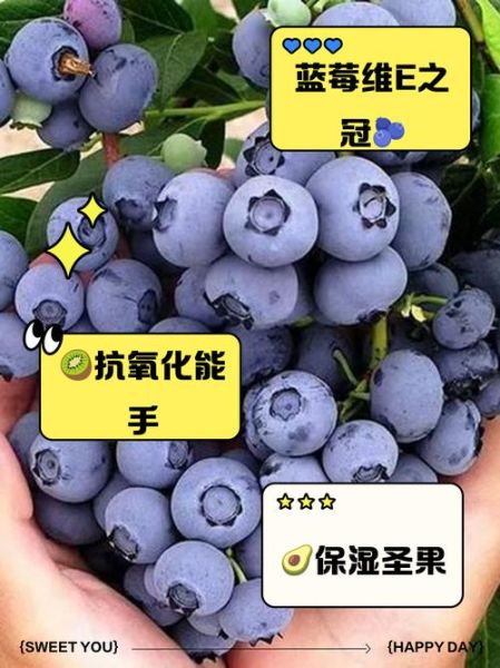 含维生素e的食物有哪些_哪些水果维生素e含量高-第1张图片-山城妙识