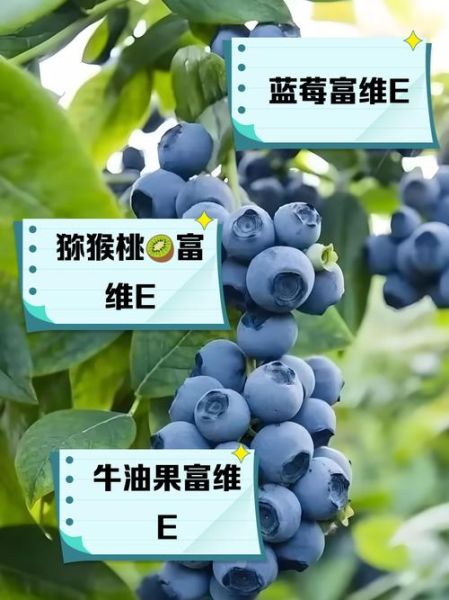 含维生素e的食物有哪些_哪些水果维生素e含量高-第2张图片-山城妙识