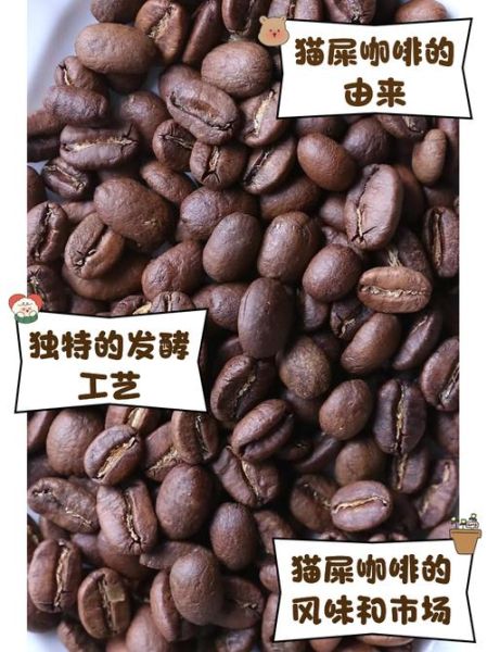咖啡豆是什么动物粪便_猫屎咖啡真相-第1张图片-山城妙识