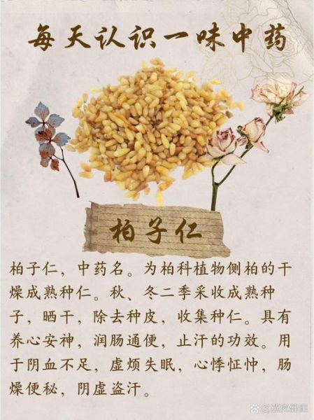 柏子仁的功效与作用及禁忌_柏子仁怎么吃效果最好-第1张图片-山城妙识