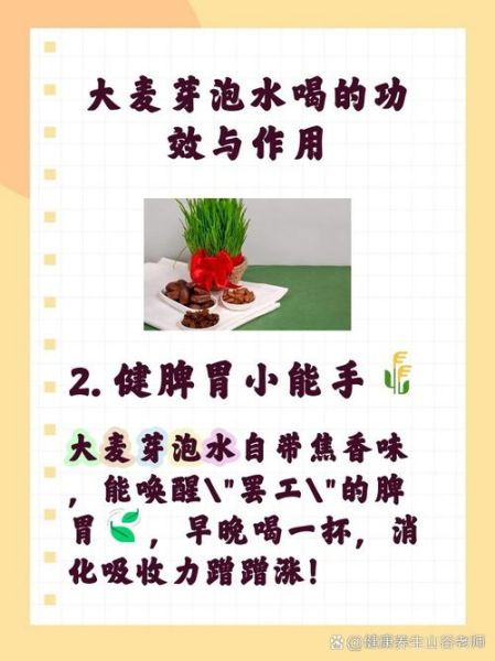 炒麦芽泡水喝的功效_炒麦芽泡水怎么喝才有效-第3张图片-山城妙识