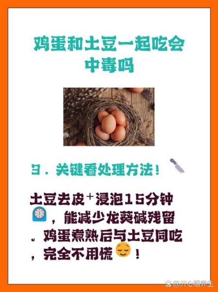 土豆和鸡蛋一起吃会中毒吗_土豆鸡蛋中毒真相-第1张图片-山城妙识