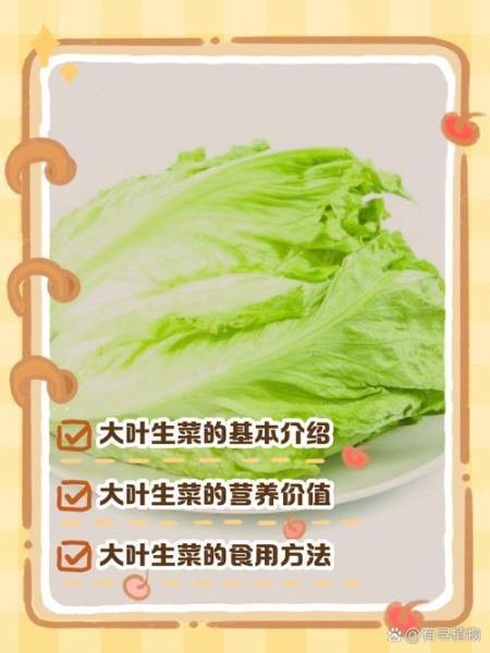 莴苣生菜的功效与作用禁忌_生吃还是焯水好-第1张图片-山城妙识 莴苣生菜的功效与作用禁忌_生吃还是焯水好-第1张图片-山城妙识