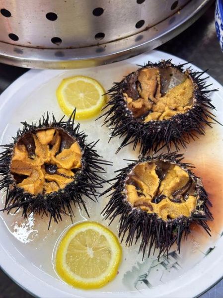 海胆有几种做法_海胆怎么吃最好吃-第1张图片-山城妙识 海胆有几种做法_海胆怎么吃最好吃-第1张图片-山城妙识