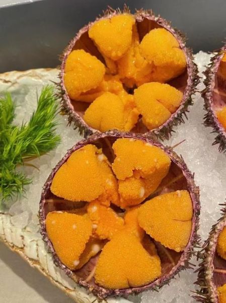 海胆有几种做法_海胆怎么吃最好吃-第3张图片-山城妙识 海胆有几种做法_海胆怎么吃最好吃-第3张图片-山城妙识