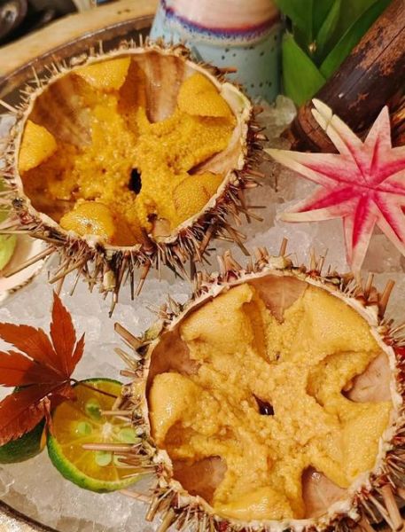 海胆有几种做法_海胆怎么吃最好吃-第2张图片-山城妙识 海胆有几种做法_海胆怎么吃最好吃-第2张图片-山城妙识