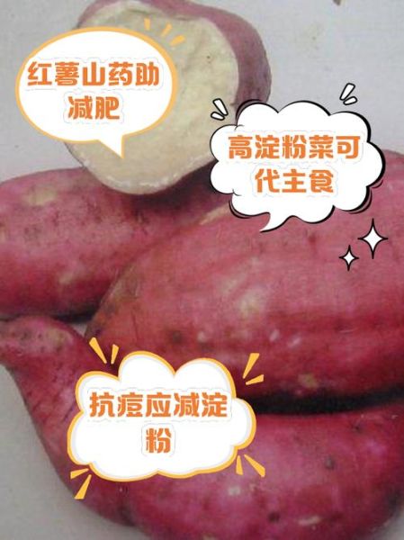 什么是淀粉类食物_淀粉类食物有哪些-第2张图片-山城妙识