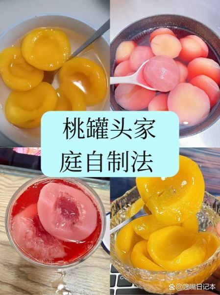 桃罐头怎么做_自制桃罐头能保存多久-第2张图片-山城妙识