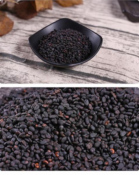 补骨脂最佳配伍_补骨脂和什么药搭配最好-第3张图片-山城妙识 补骨脂最佳配伍_补骨脂和什么药搭配最好-第3张图片-山城妙识