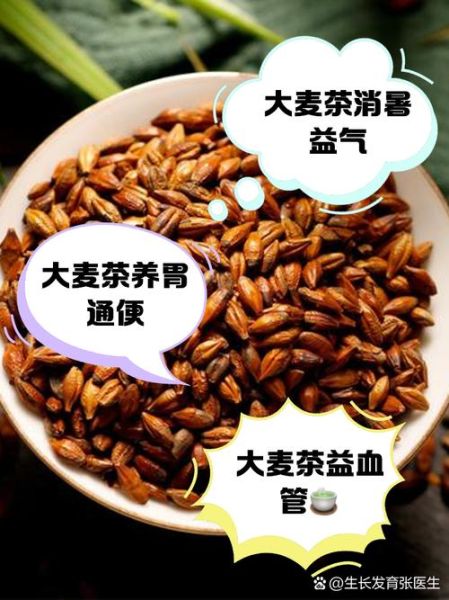 大麦茶的功效与作用及禁忌_什么人不能喝-第1张图片-山城妙识