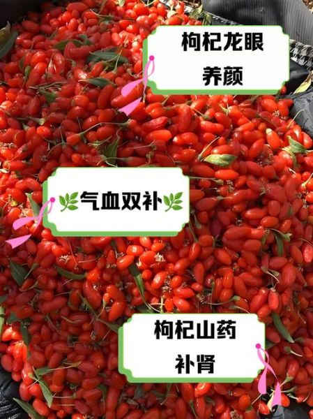 枸杞和什么泡水喝补肾_枸杞配什么补肾效果最好-第2张图片-山城妙识 枸杞和什么泡水喝补肾_枸杞配什么补肾效果最好-第2张图片-山城妙识