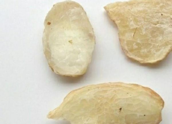 白芷祛斑的正确方法_白芷面膜多久见效-第1张图片-山城妙识